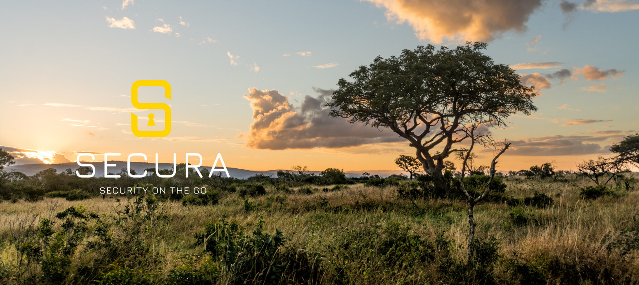 Blog - Secura